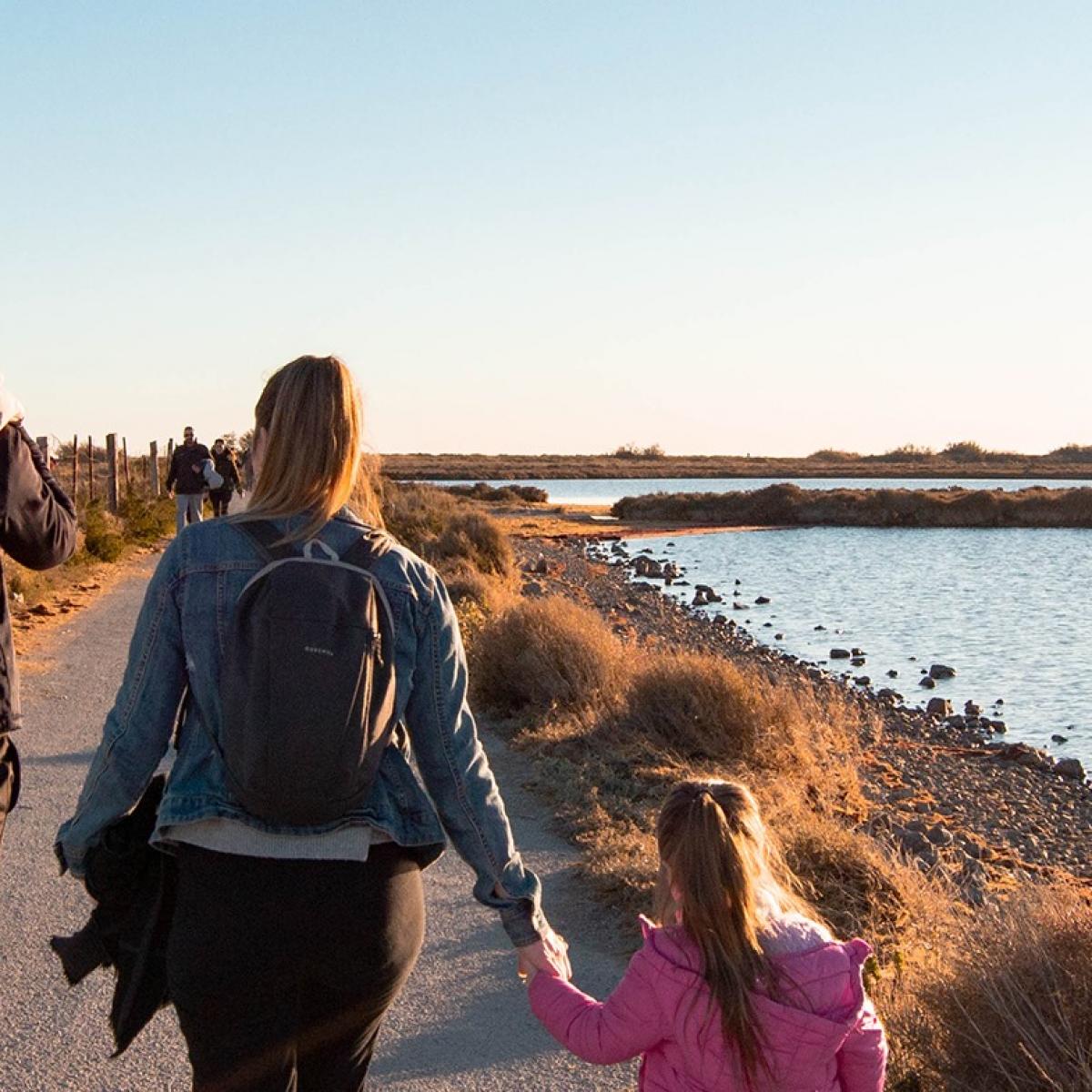 Côté mer : Les plages | Montpellier Tourisme