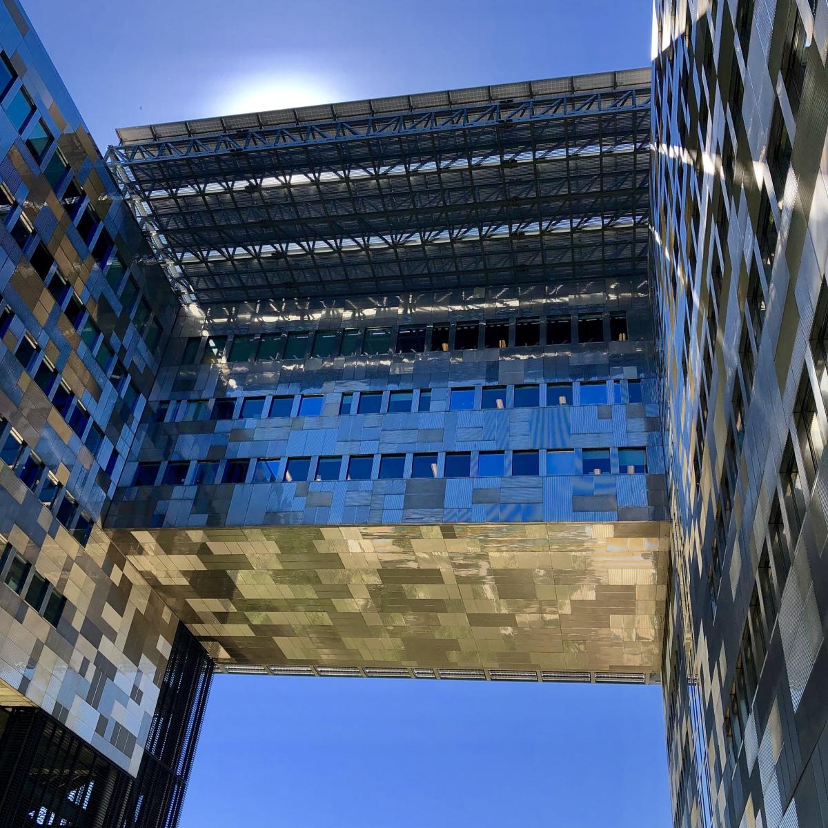 L’Hôtel de ville | Montpellier Tourisme