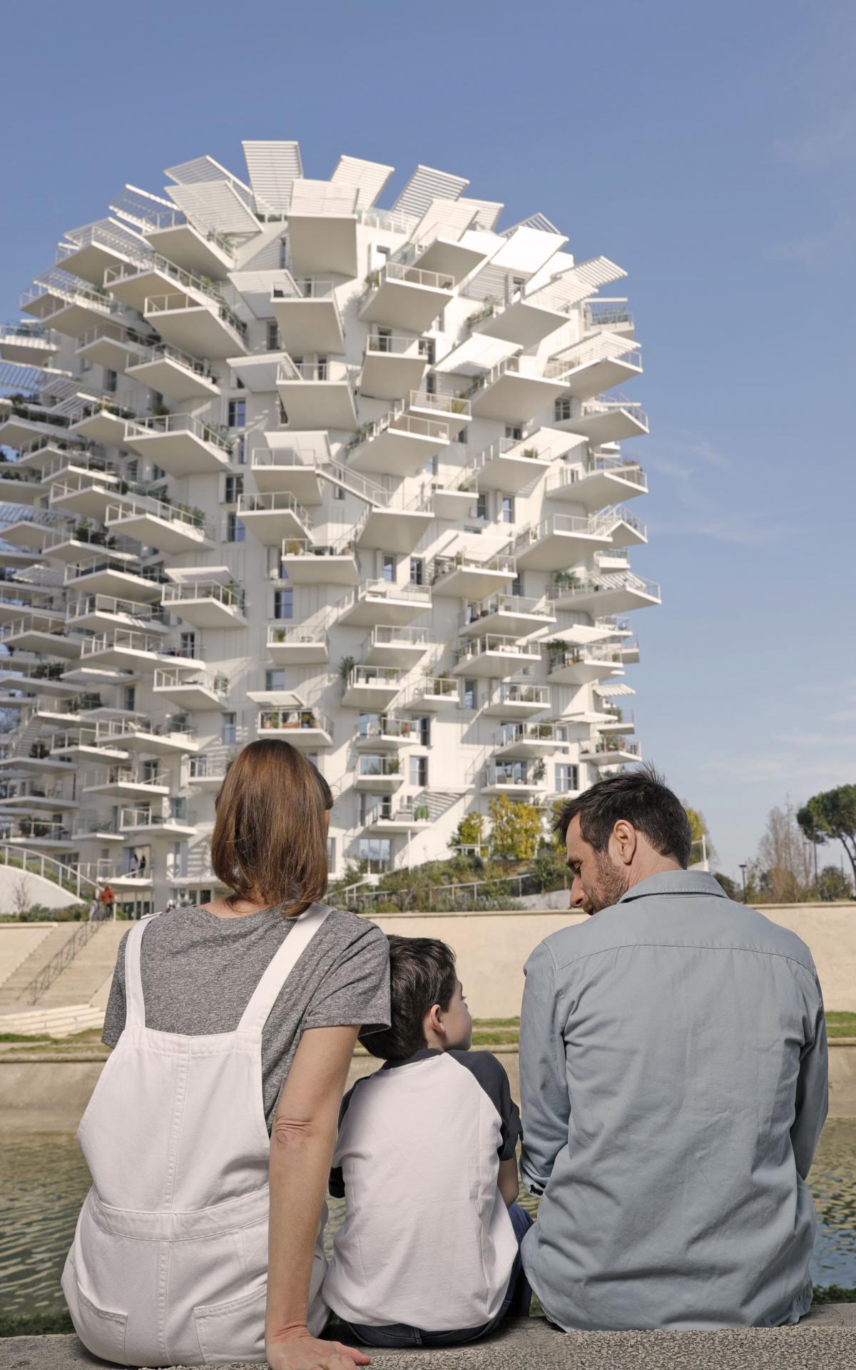 The Arbre Blanc (White tree) | Montpellier Tourism