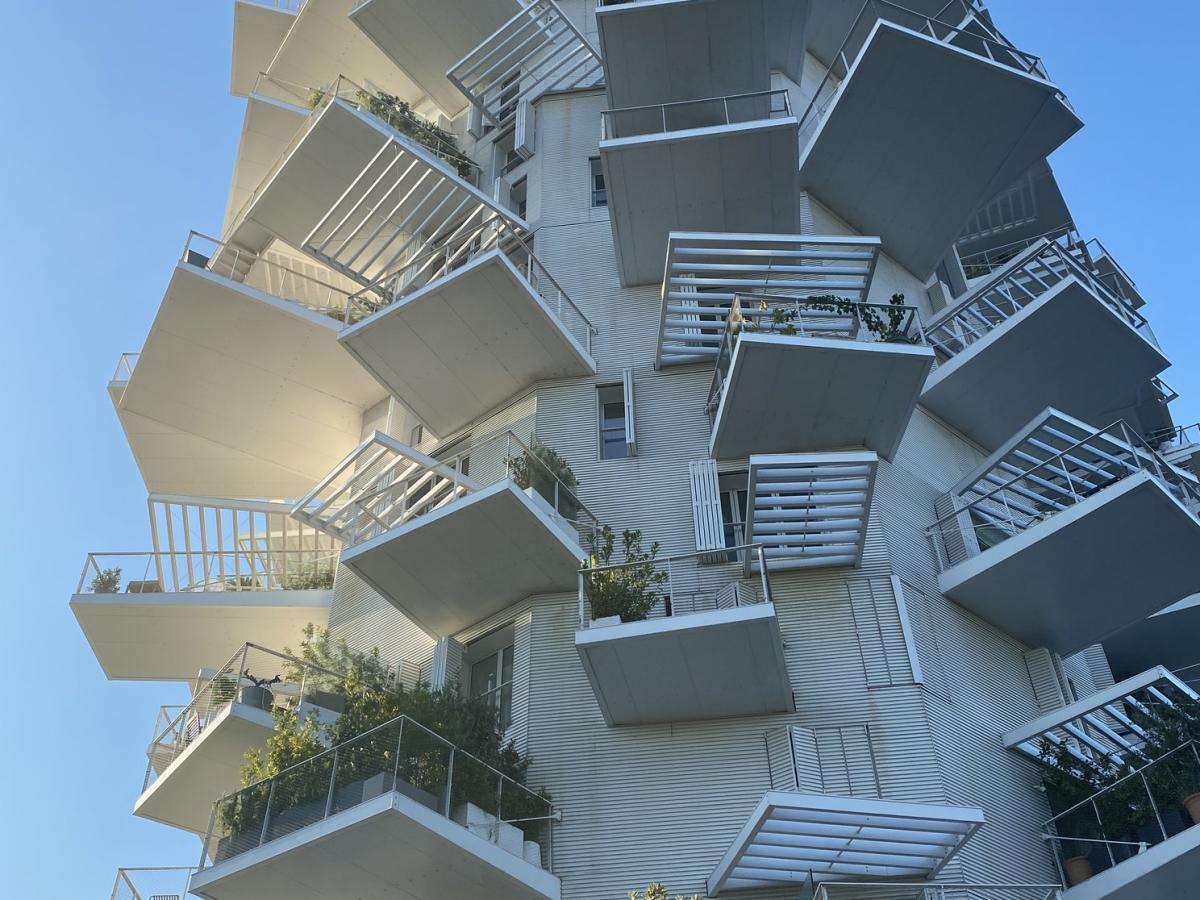 The Arbre Blanc (White tree) | Montpellier Tourism