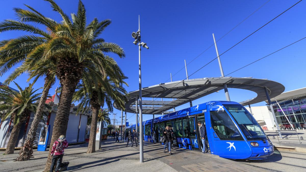 Montpellier By Tramway | Tram lines, Montpellier Tourism