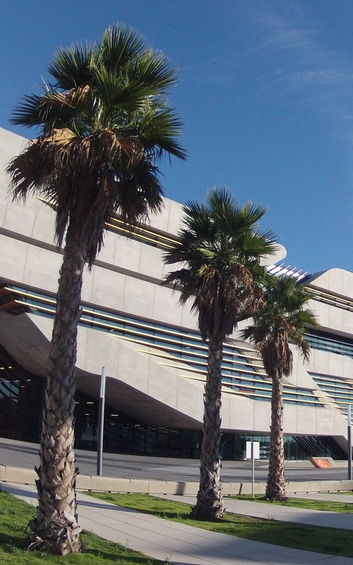 New districts and contemporary architecture | Montpellier Tourism