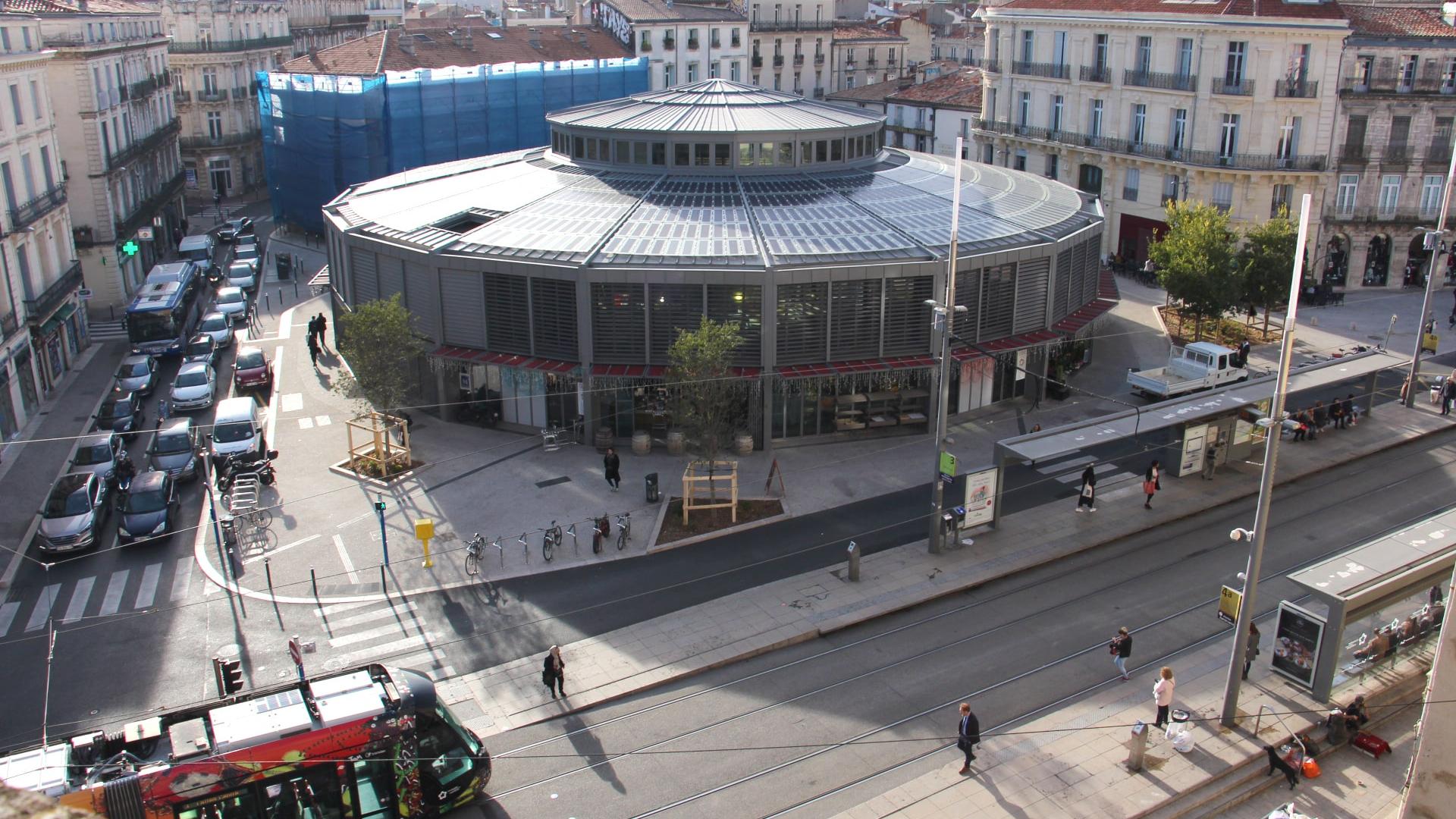 Where to go to the market | Montpellier Tourism