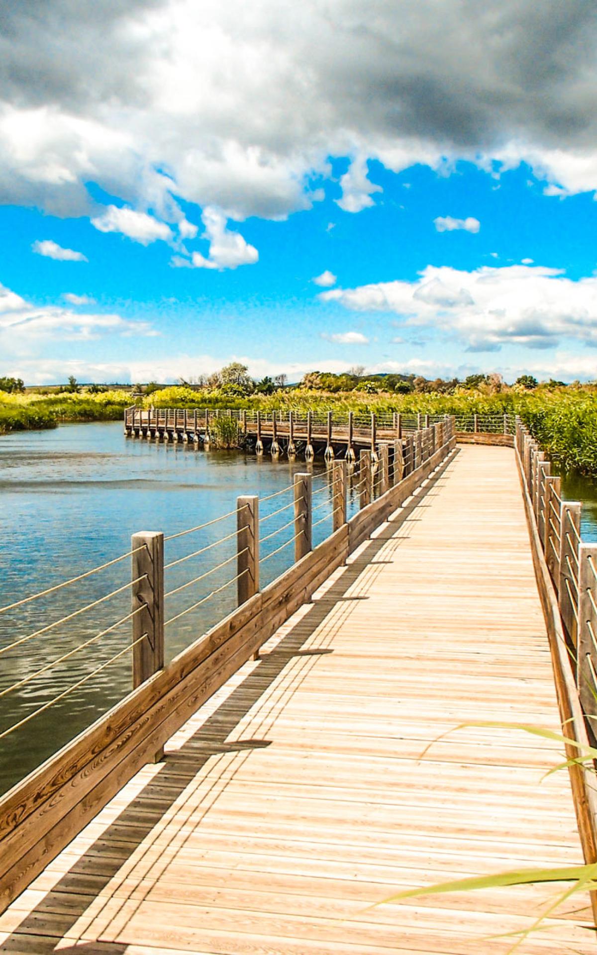 Montpellier surrounded by nature | Montpellier Tourism