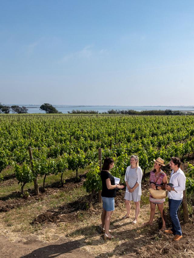 DOMAINE DE L’OULIVIE (Combaillaux) | Montpellier Tourisme