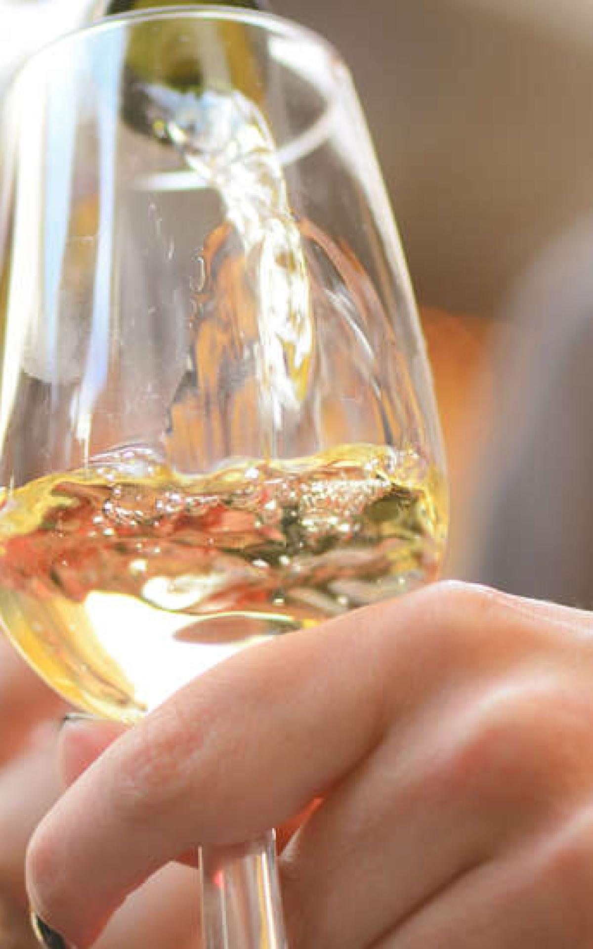 Vins et gastronomie | Montpellier Tourisme