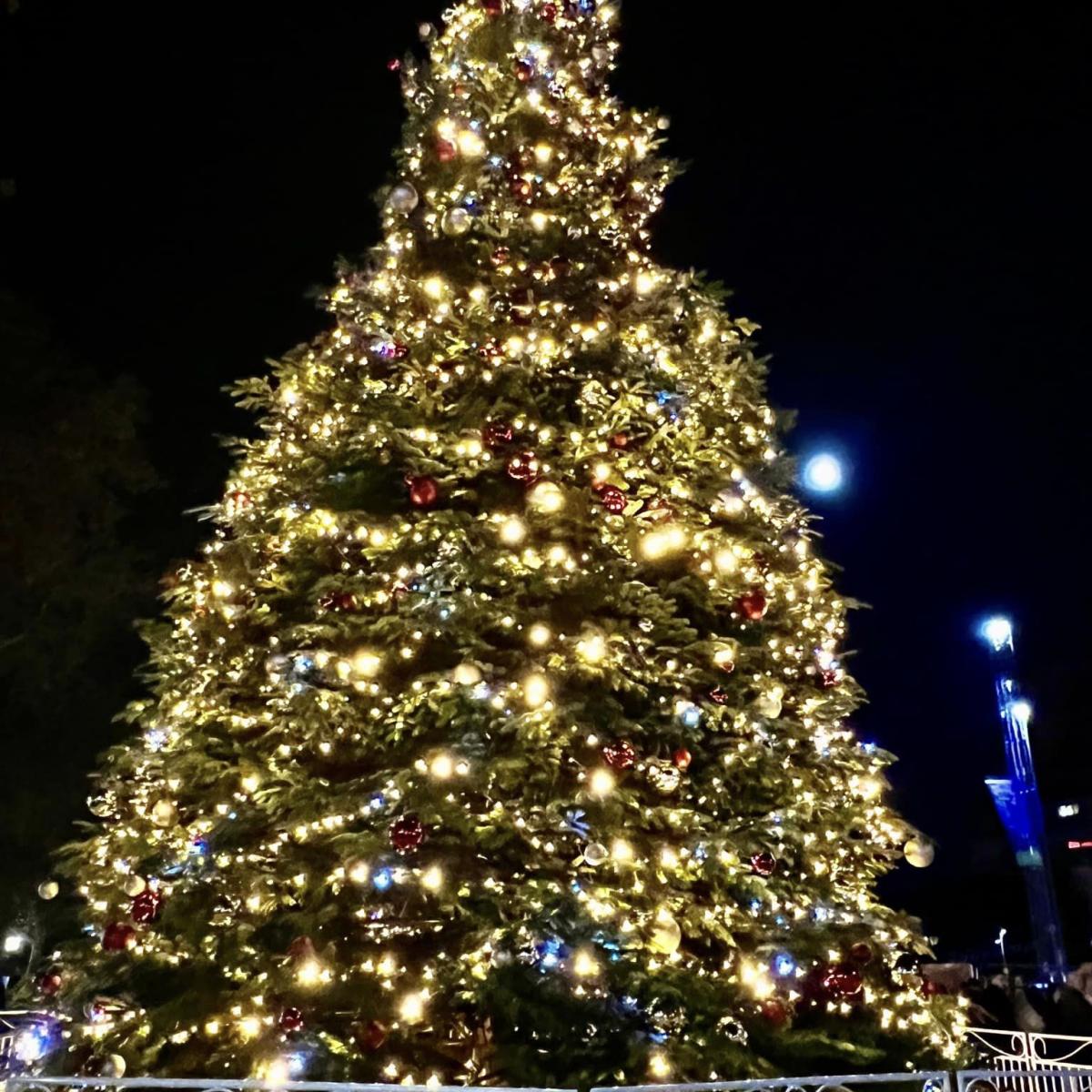 Christmas lights and market | Montpellier Tourism