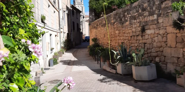 Castries | Montpellier Tourism